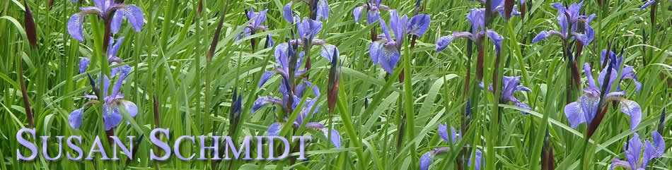 SusanSchmidt.net